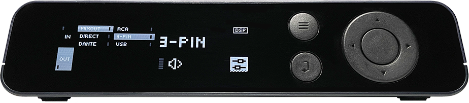 What can I do on the Hub DSP Receiver screen?